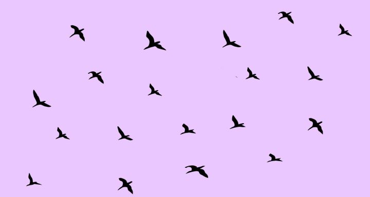 Get to know the Law of Common Fate - UX Laws